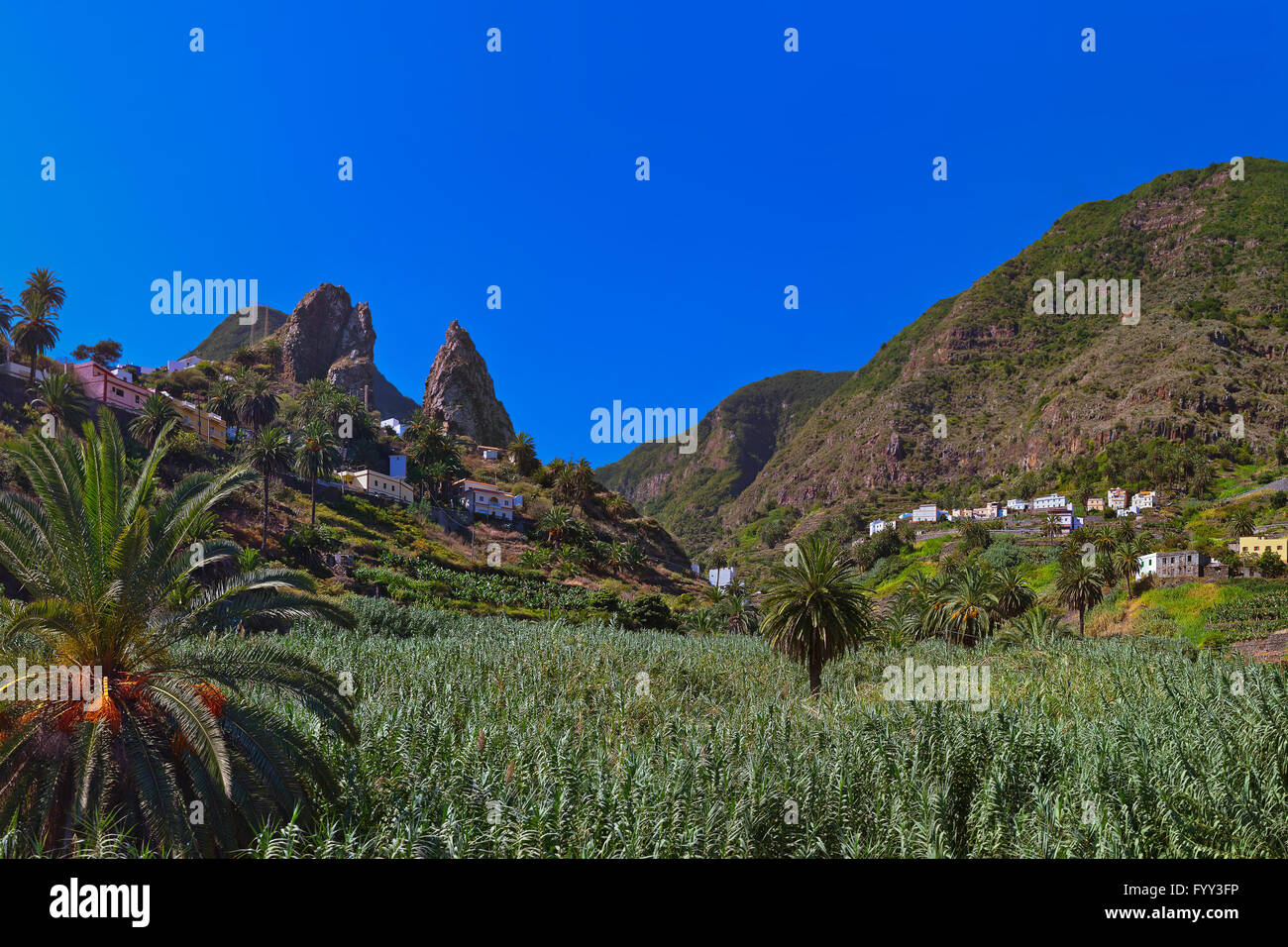 Hermigua valley in La Gomera island - Canary Stock Photo - Alamy