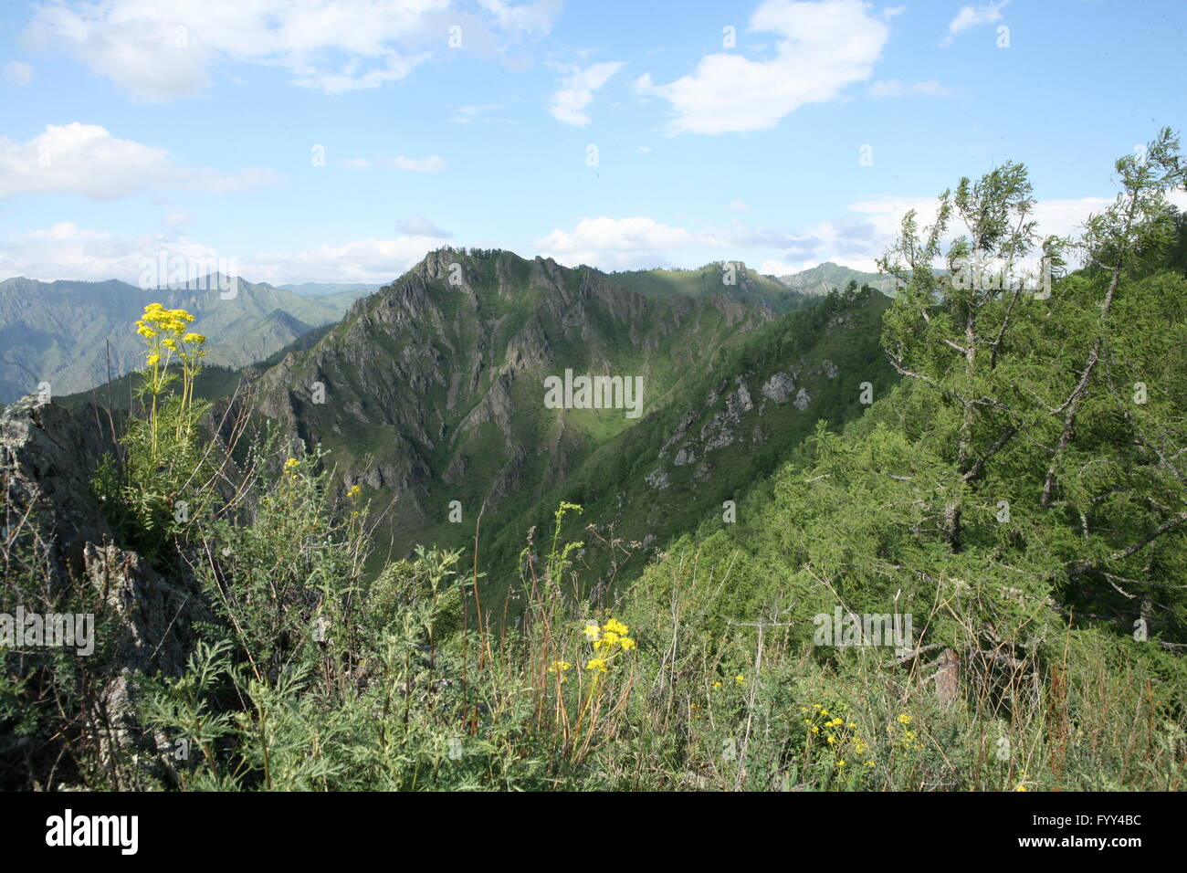 Altai region Russia mountain landscapes Stock Photo - Alamy