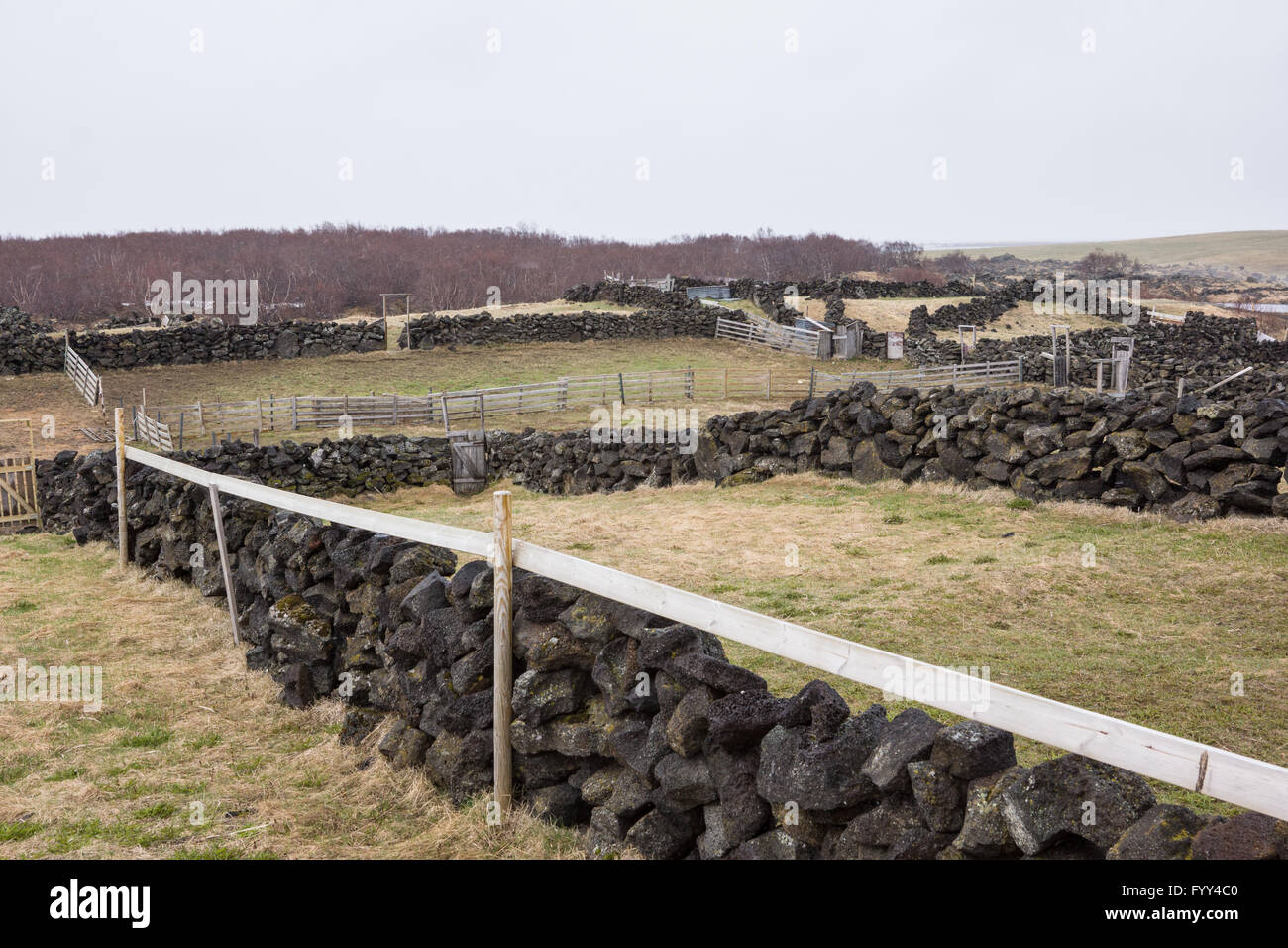 Paddocks made from basalt rock walls in Iceland Stock Photo - Alamy