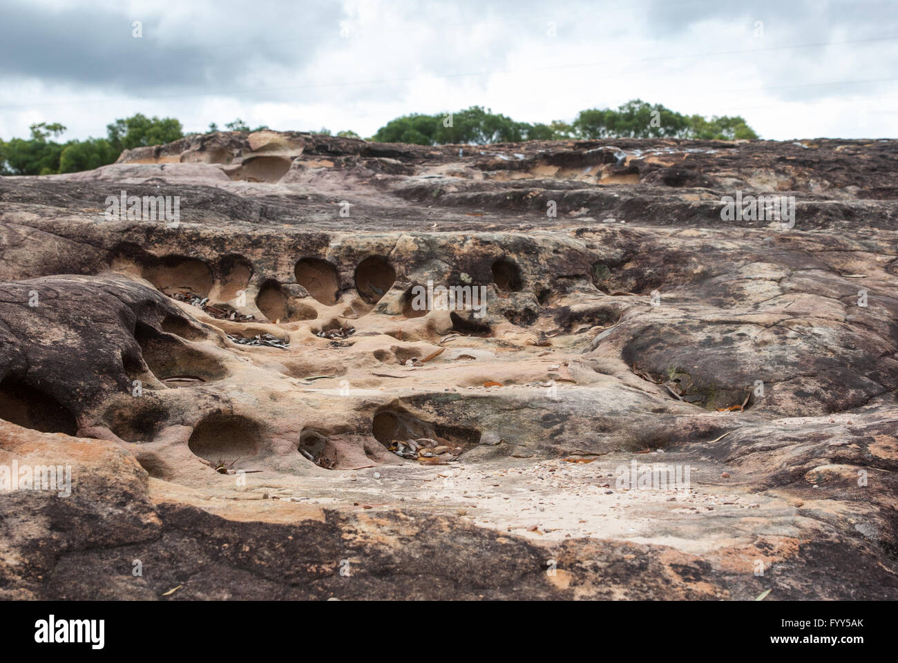 Sandstone erosion on Burra Range in White Mountains National Park ...
