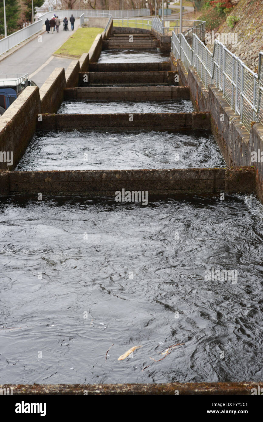 Pitlochry fish ladder on the River Tummel. Pitlochry. Scotland. Pic ...