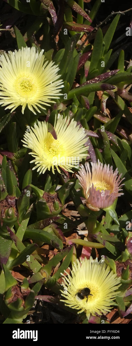 The midday hi-res stock photography and images - Alamy