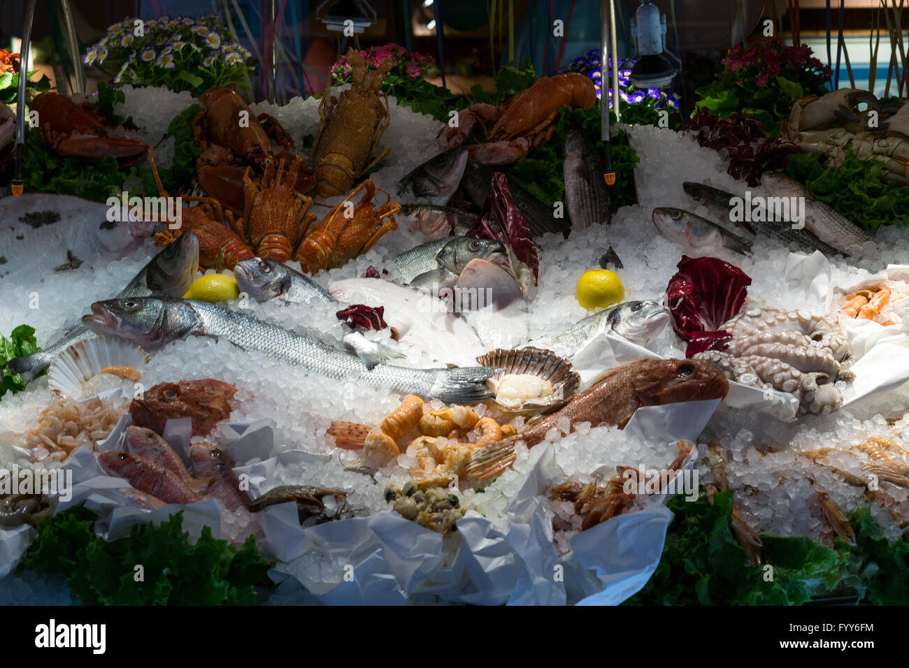 Seafood on display Stock Photo - Alamy