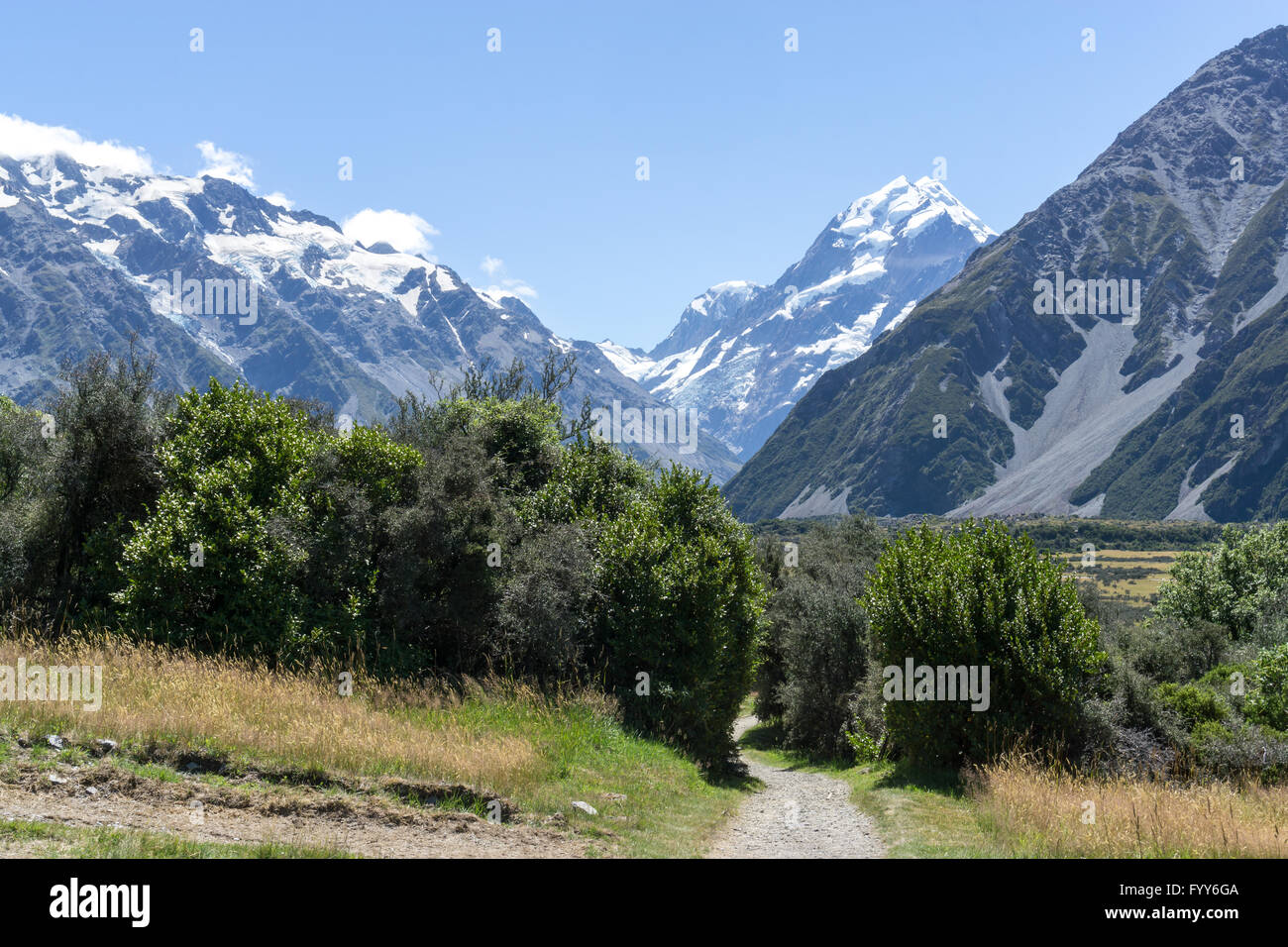 Kea Point Track Stock Photo - Alamy
