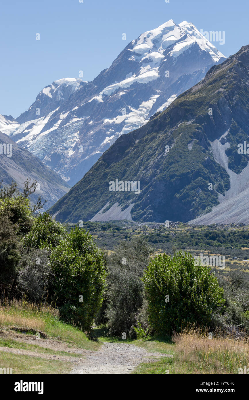 Kea Point Track Stock Photo - Alamy