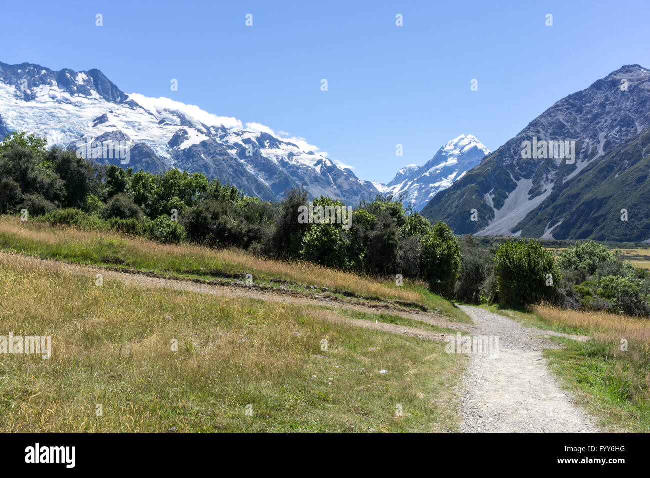 Kea Point Track Stock Photo - Alamy