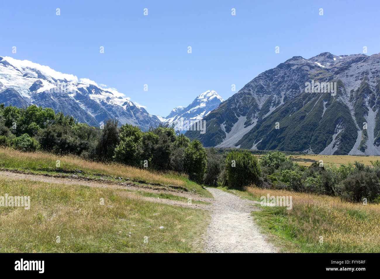 Kea point track hi-res stock photography and images - Alamy