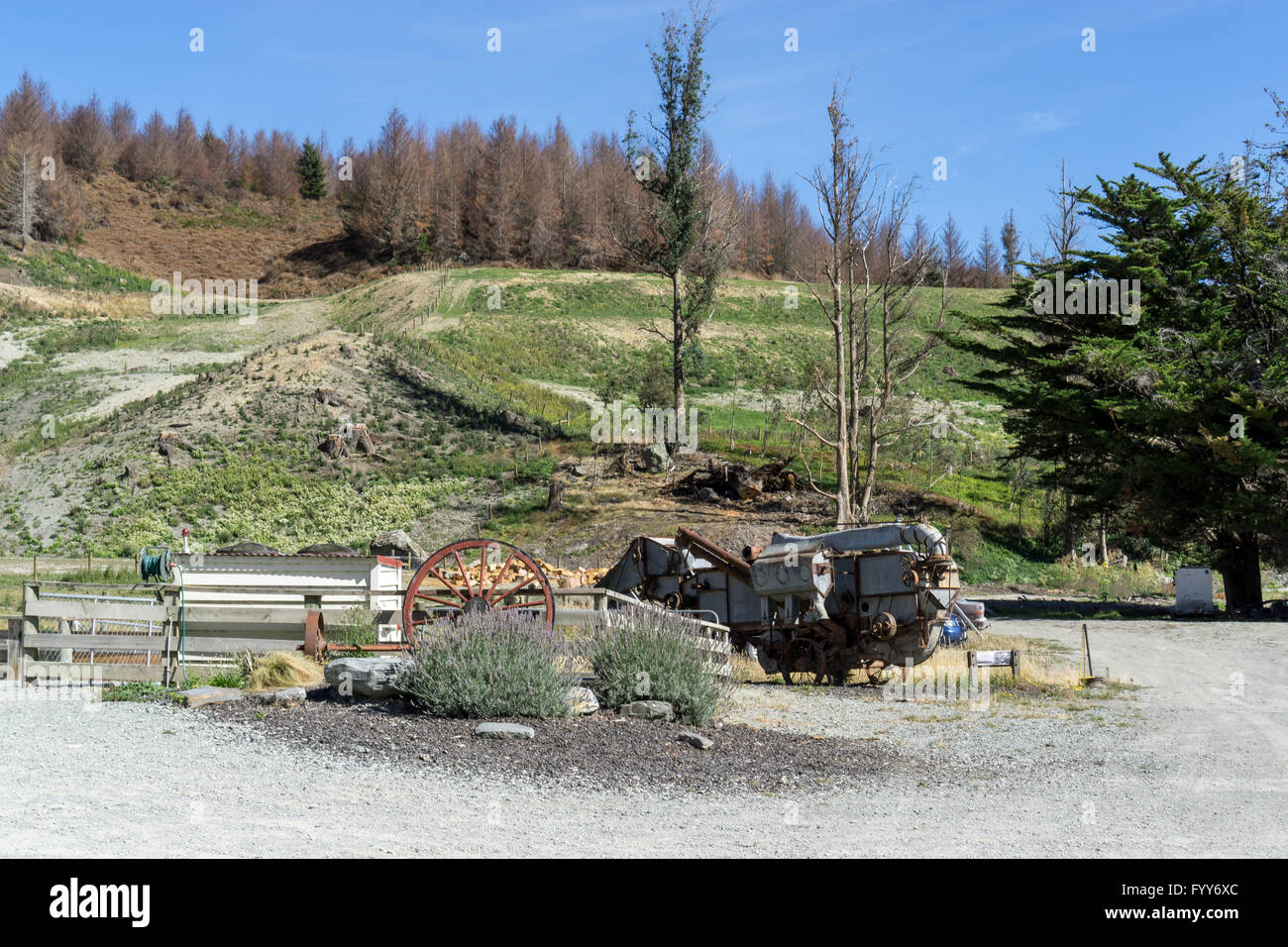 Walter peak high country farm hi-res stock photography and images - Alamy