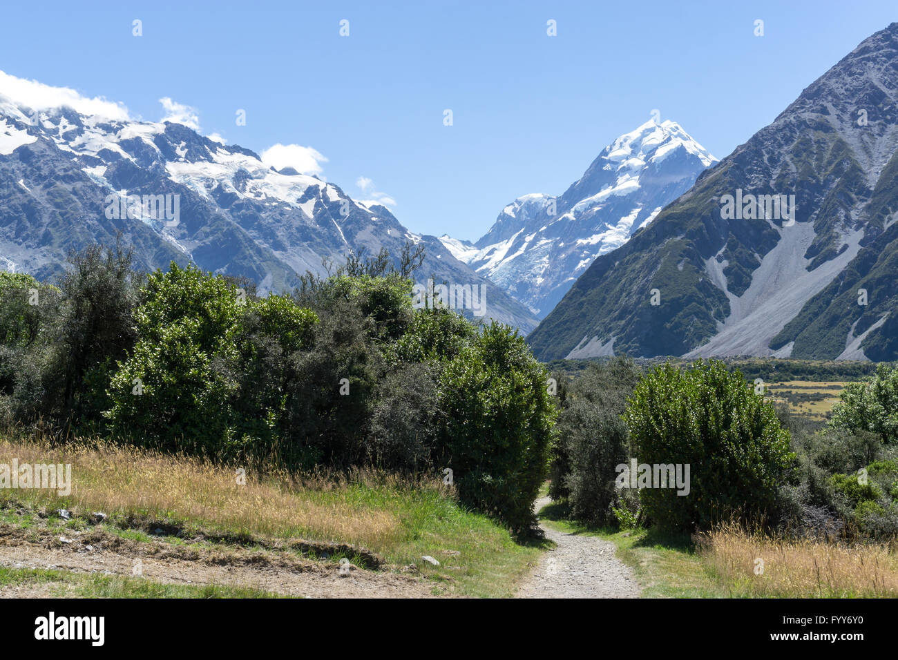 Kea point track hi-res stock photography and images - Alamy