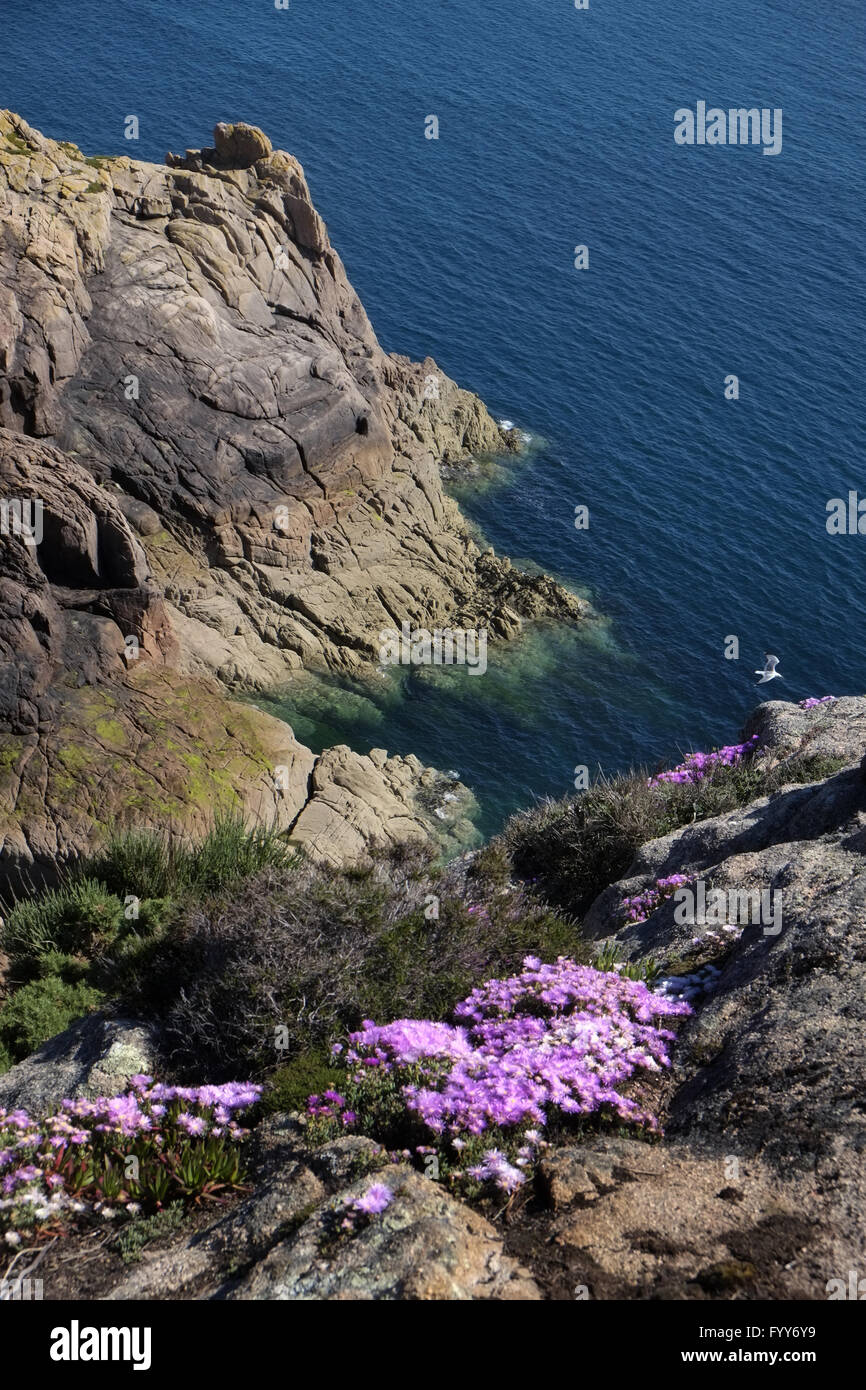 The coast of jersey hi-res stock photography and images - Alamy