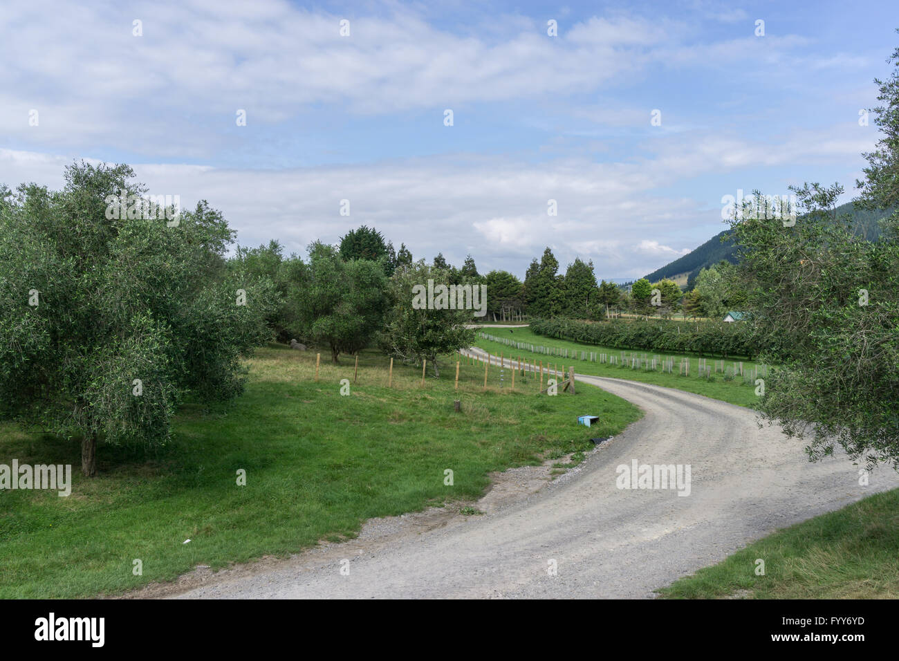agrodome farm tour Stock Photo - Alamy
