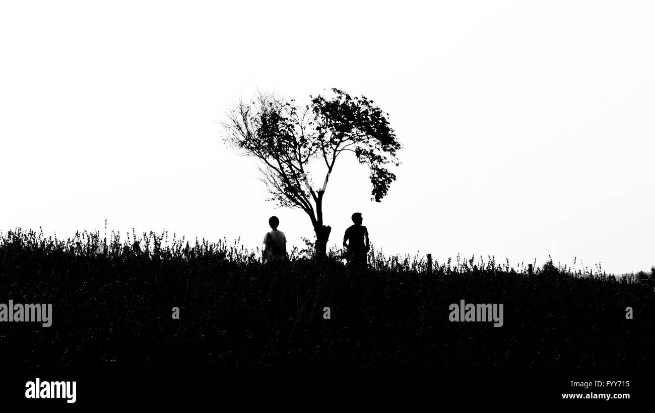 Two friends in a farm field Stock Photo - Alamy