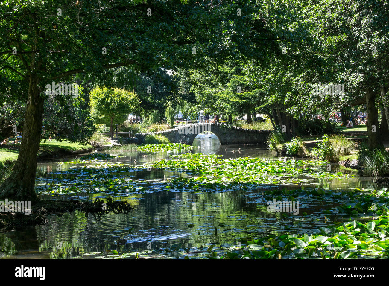 Queenstown garden bridge hi-res stock photography and images - Alamy