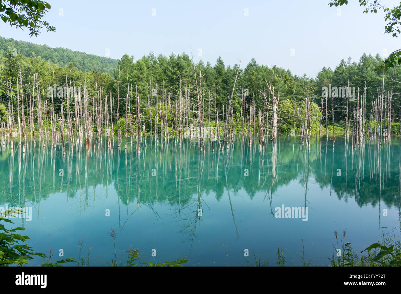 Biei blue pond hi-res stock photography and images - Alamy