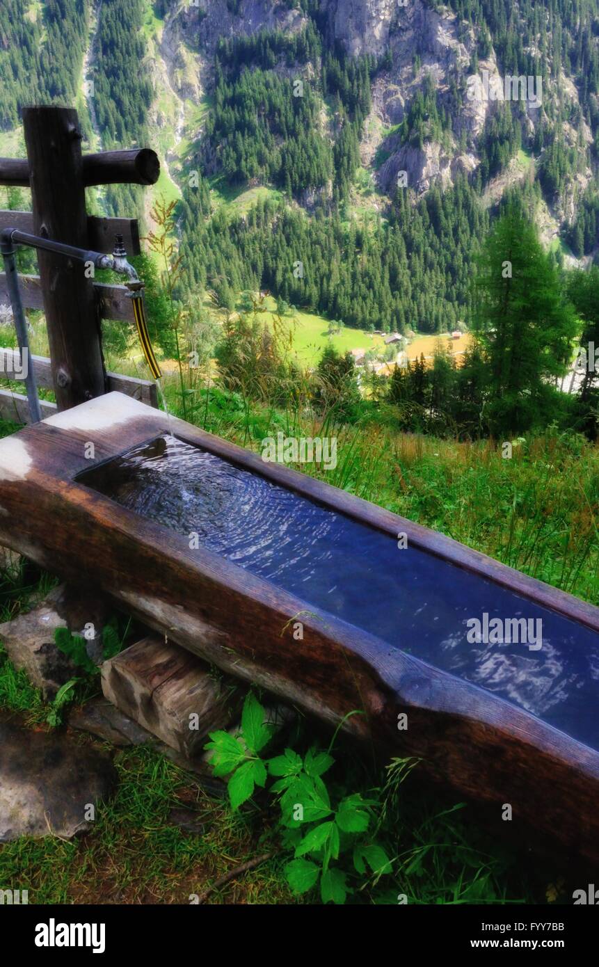 Water trough in the Alps Stock Photo - Alamy