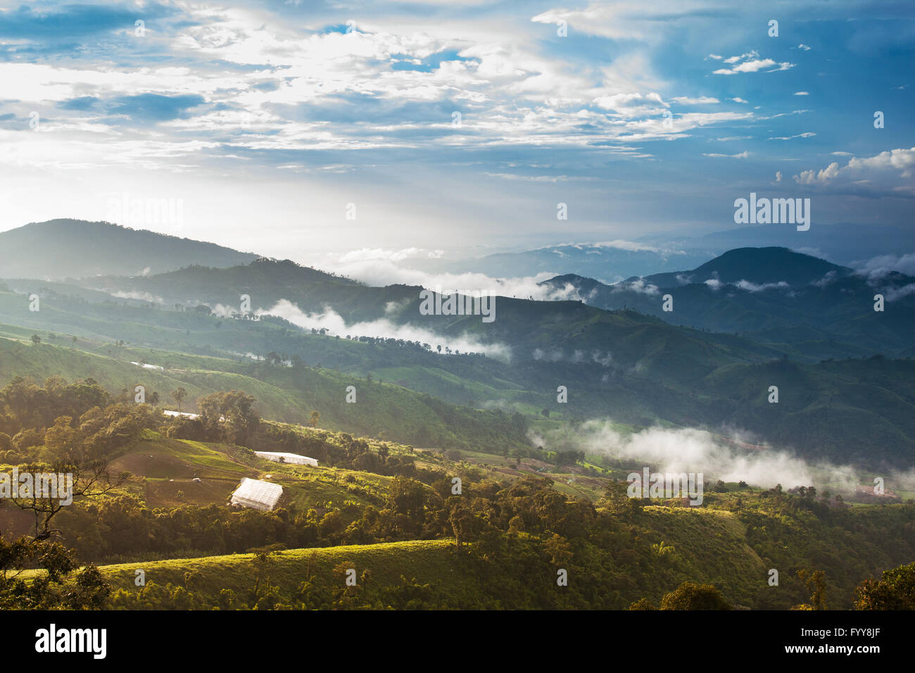 Fog flow at tropical rain forest and mountain landscape Stock Photo - Alamy