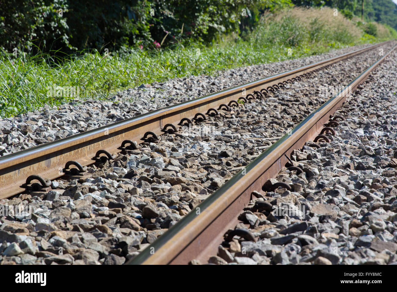 Railway diagonal line nature tree beside outdoor landscape Stock Photo ...