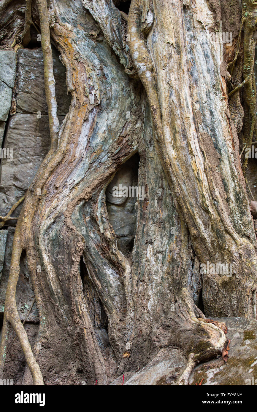 Hidden face tree hi-res stock photography and images - Alamy