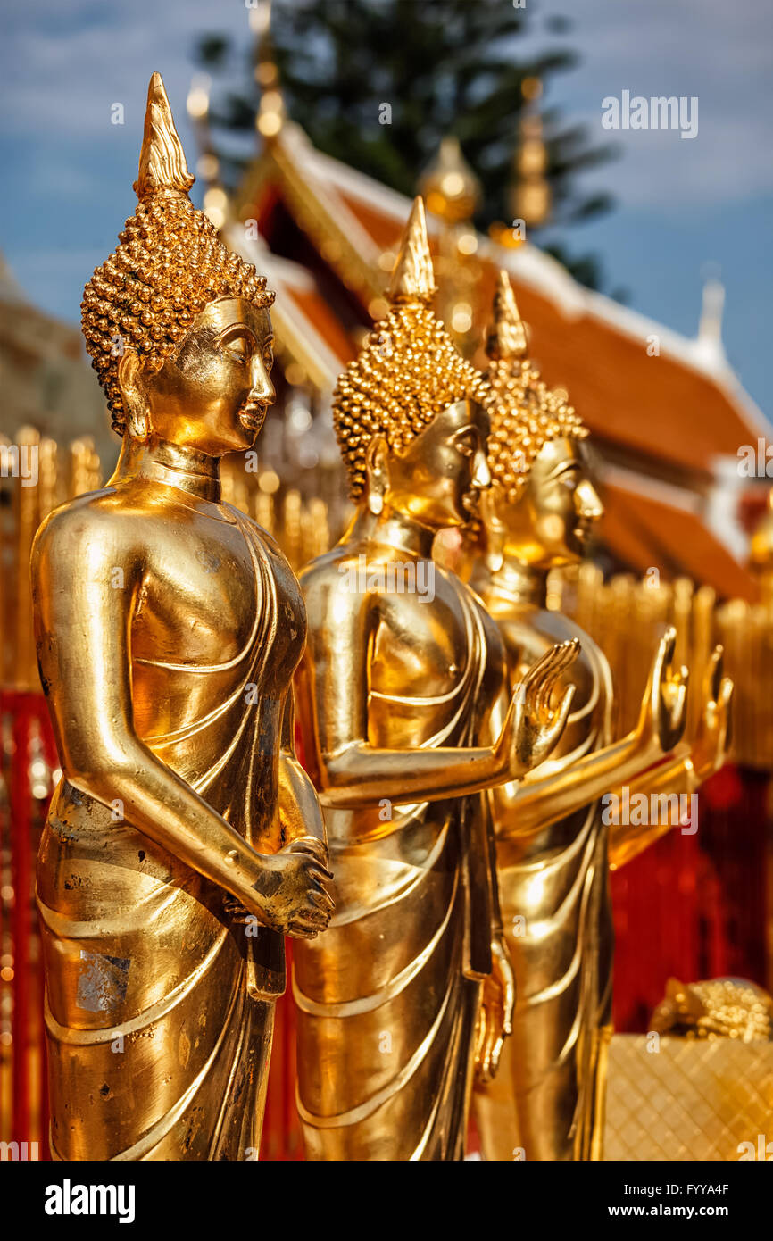 Statues Of Lord Buddha High Resolution Stock Photography and Images - Alamy