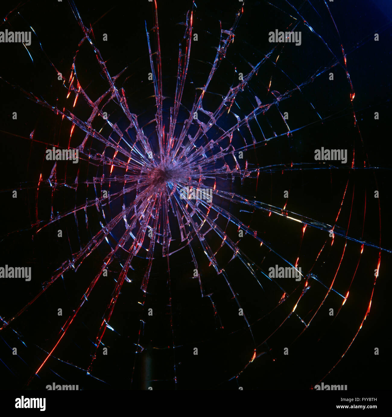 Colorful spider in cobweb hi-res stock photography and images - Alamy