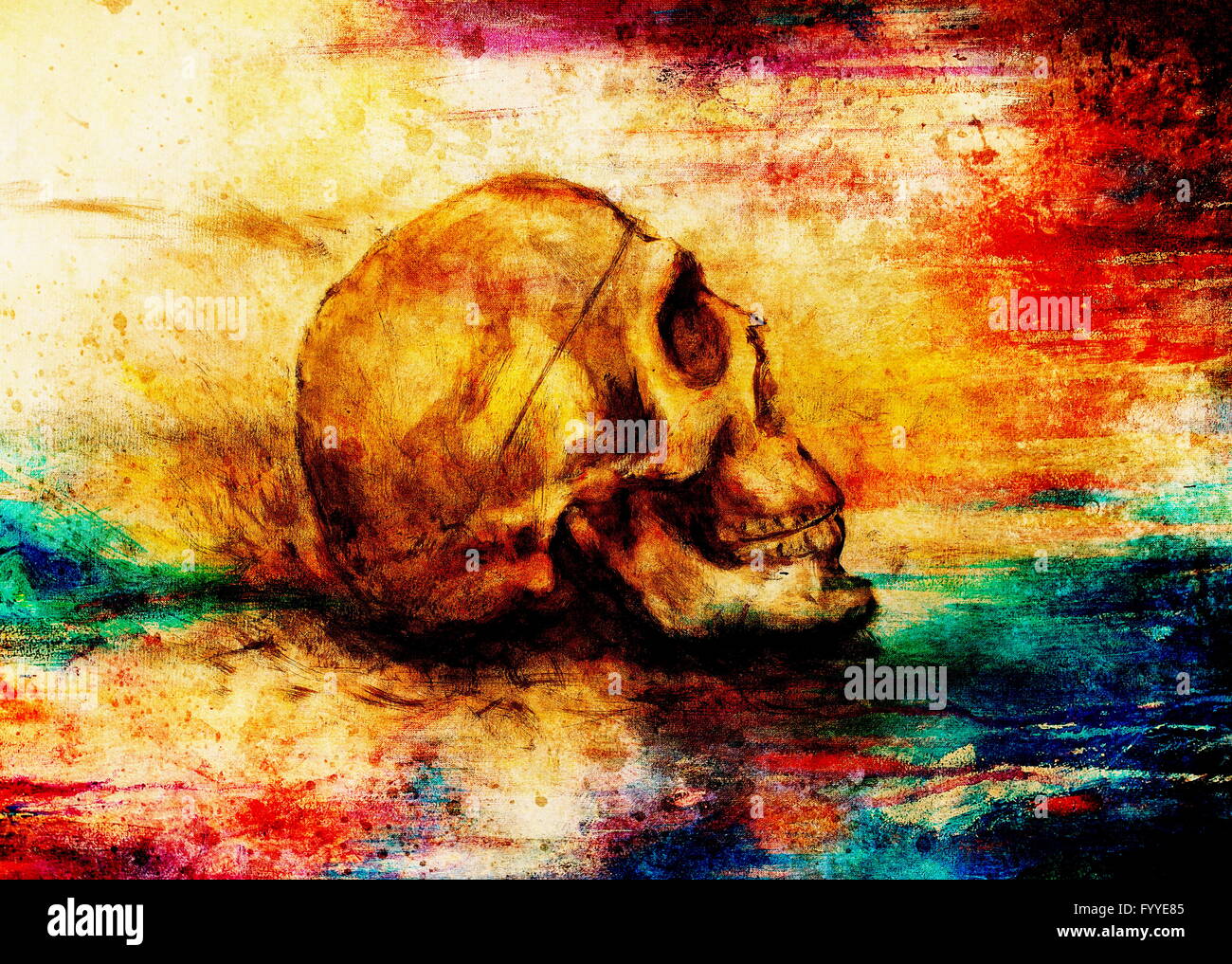 painting skull on paper and abstract color effect Stock Photo - Alamy