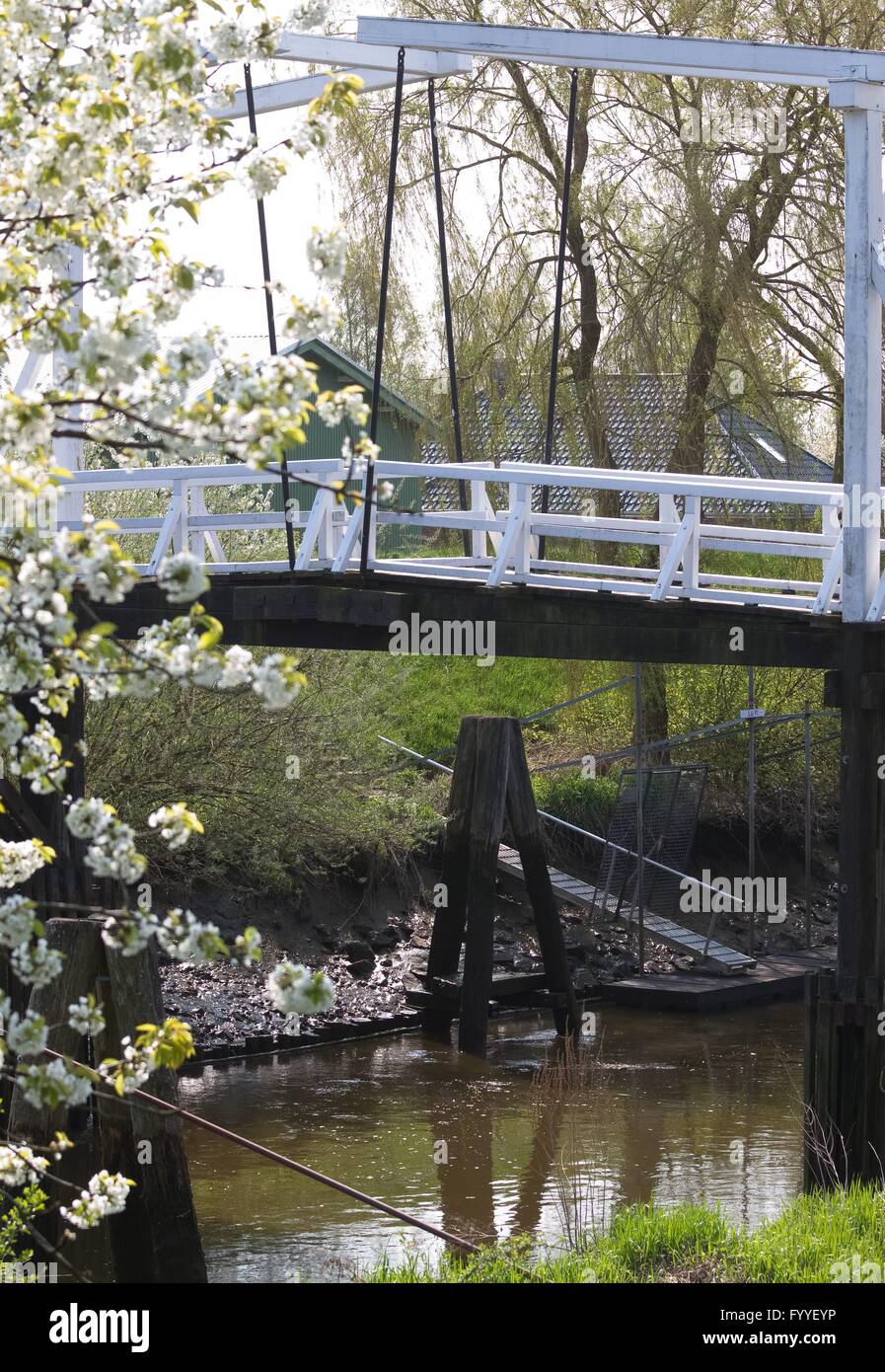 At the beginning of May the region called "Altes Land" (Old Country ...