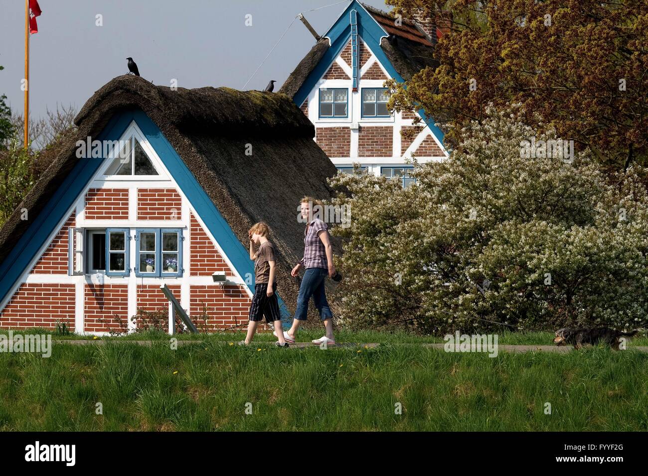 At the beginning of May the region called "Altes Land" (Old Country ...