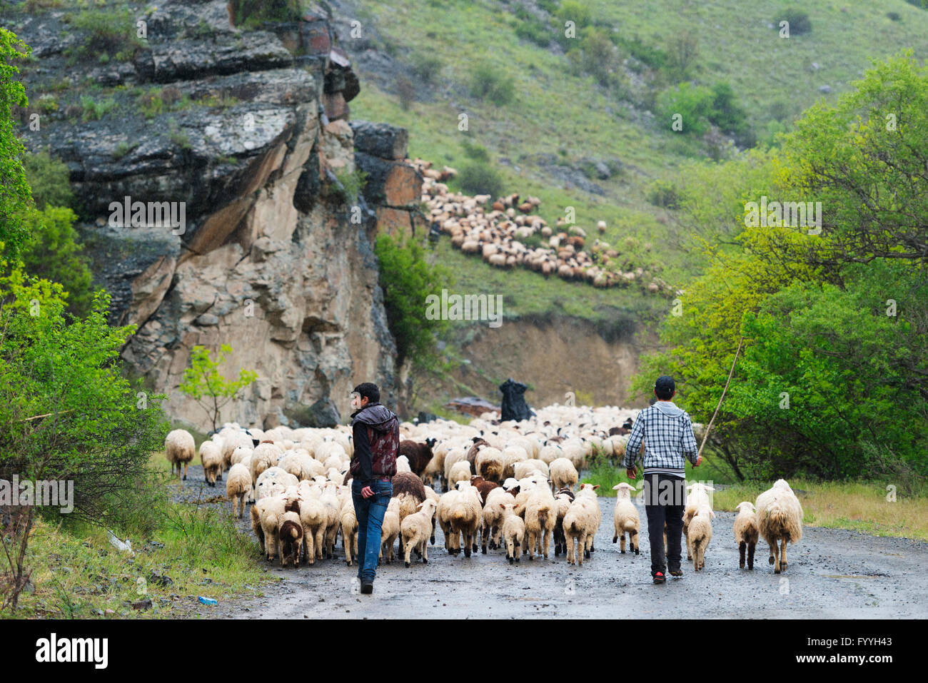 Armenian shepherd hi-res stock photography and images - Alamy