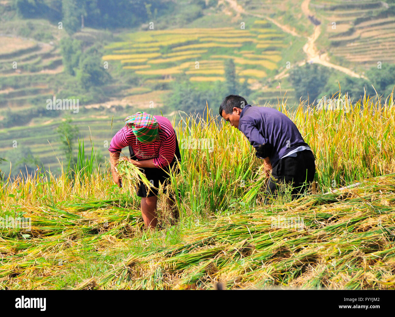 Hmong tribe hi-res stock photography and images - Alamy