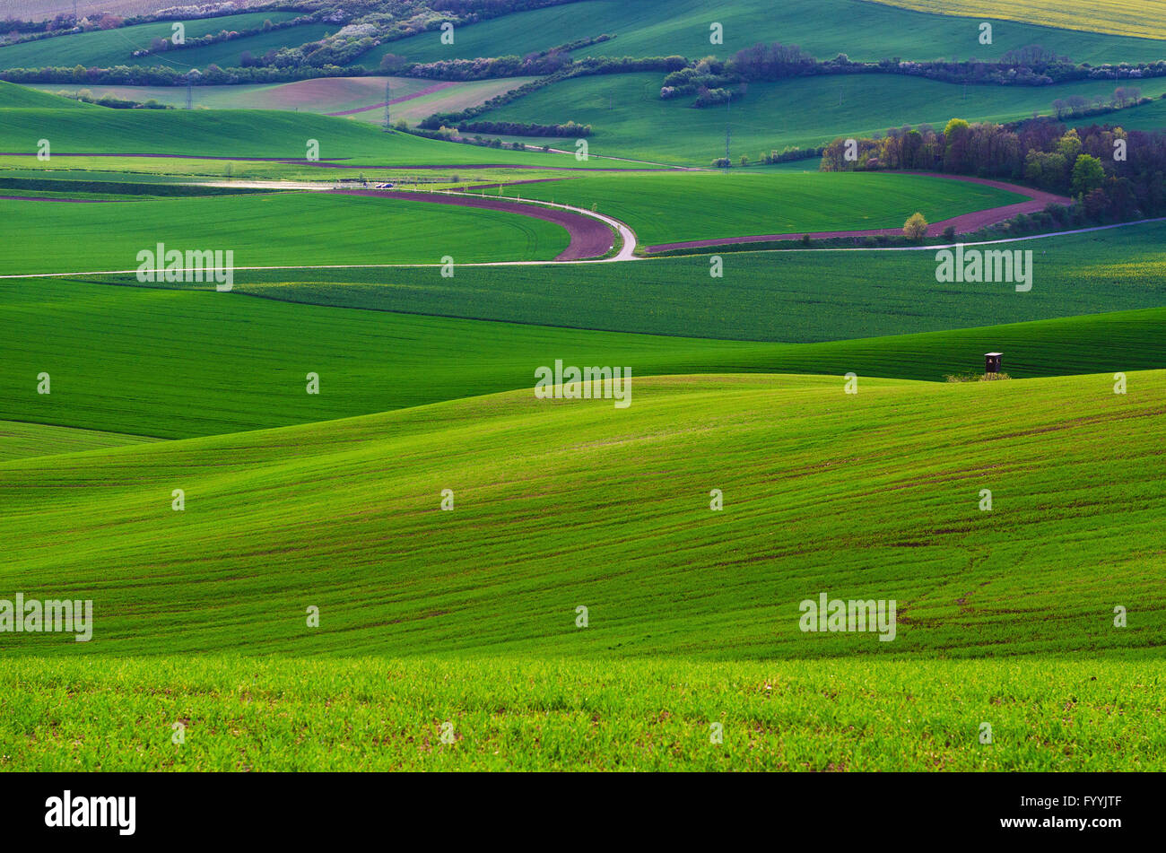 Rural spring landscape Stock Photo - Alamy