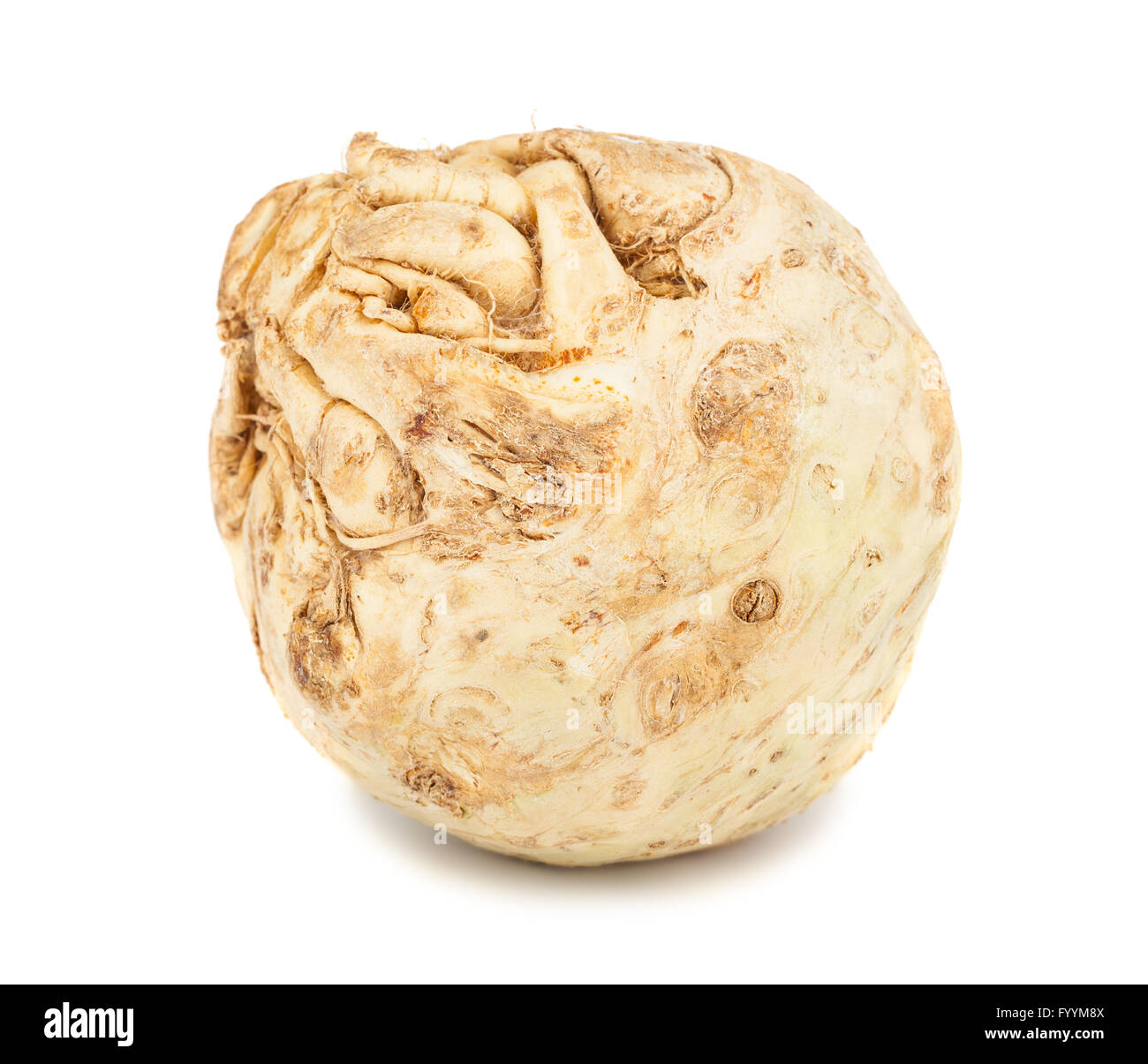 Celery root celeriac fresh hi-res stock photography and images - Alamy