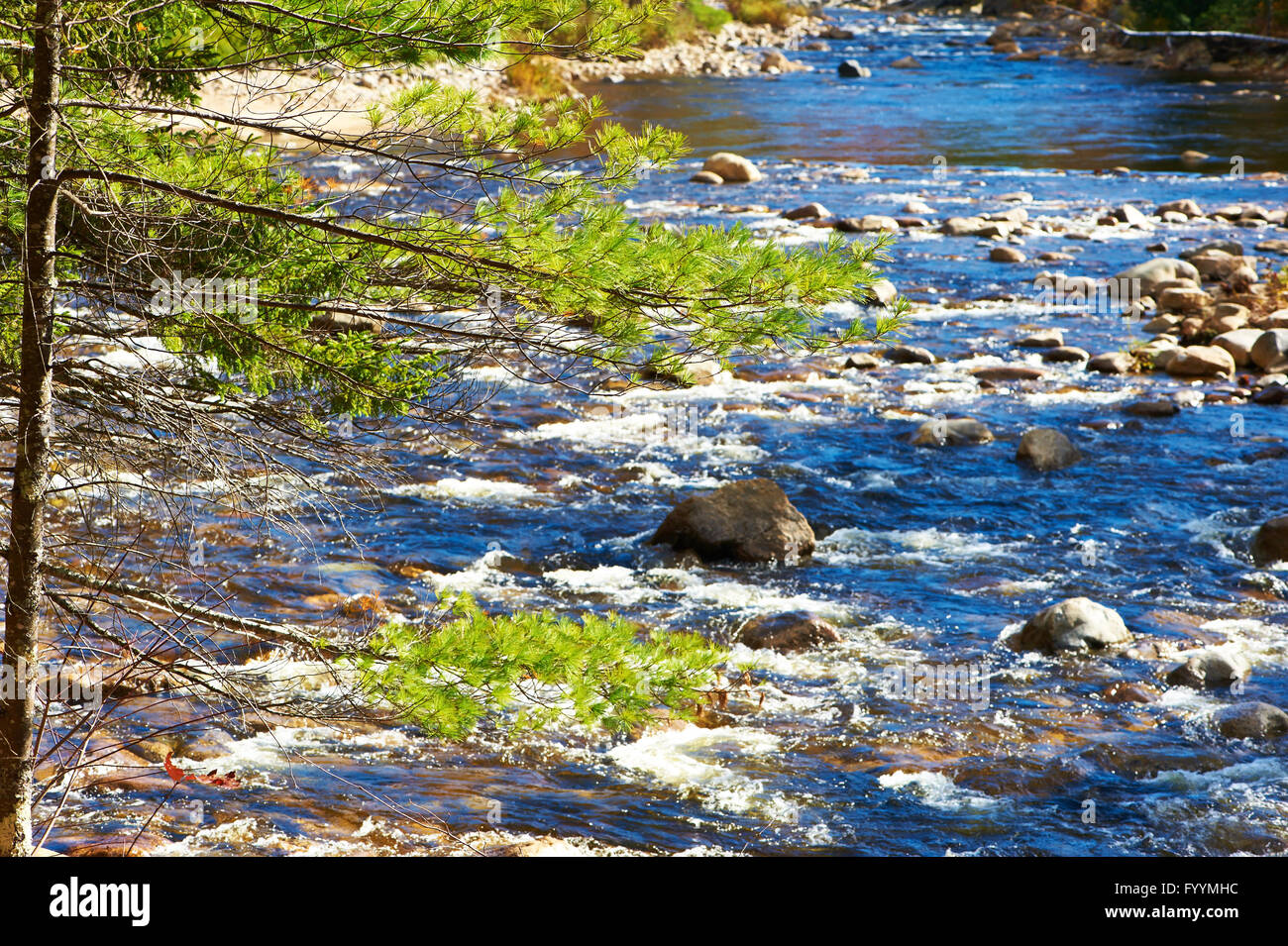 Swift River in White Mountain National Forest Stock Photo - Alamy