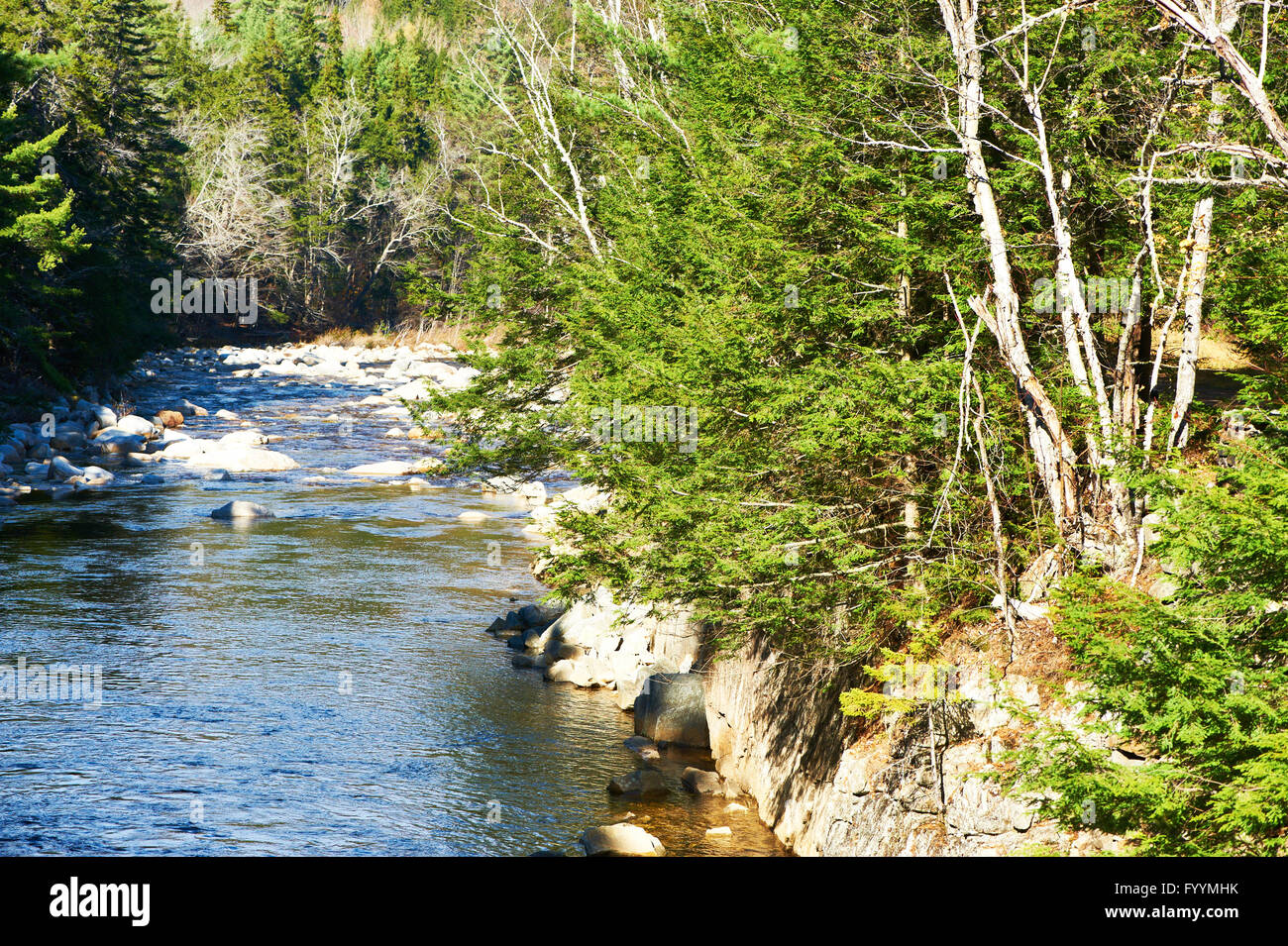 Swift River in White Mountain National Forest Stock Photo - Alamy