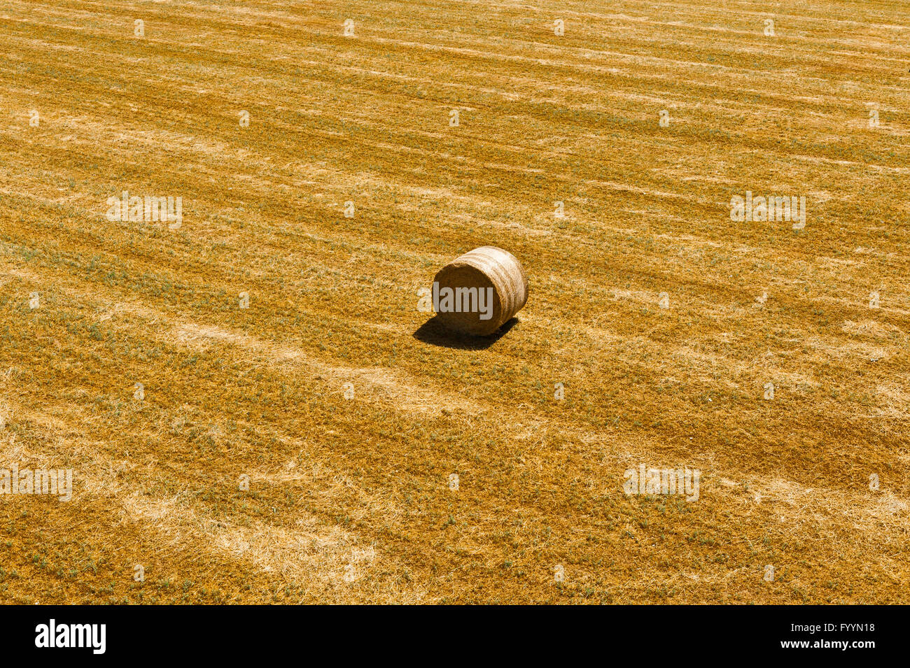 Italian hay bale hi-res stock photography and images - Alamy