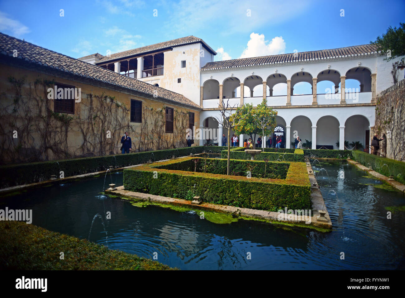The Gardens of the Generalife in The Alhambra, palace and fortress ...