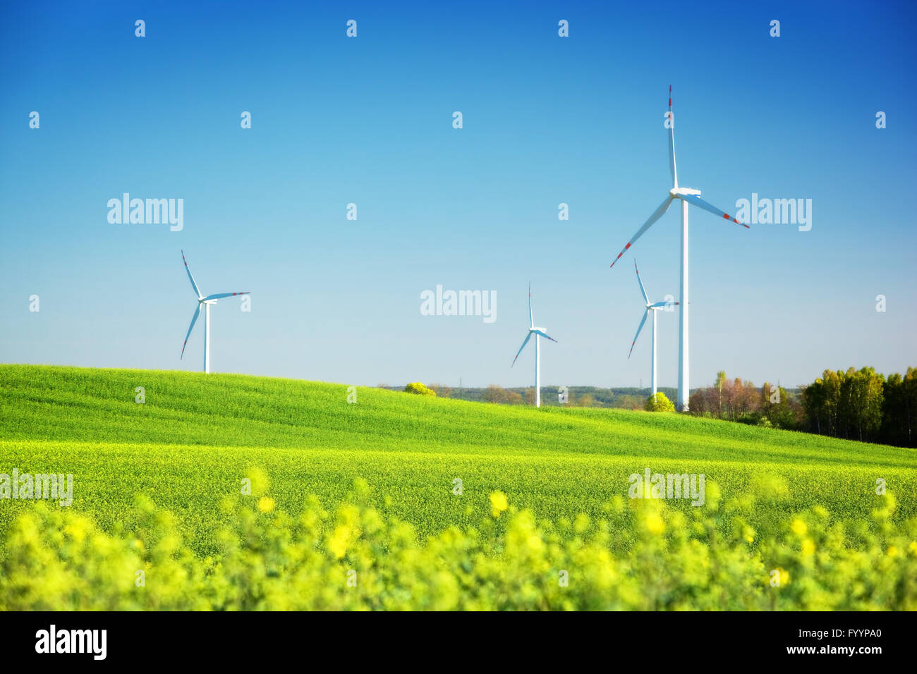 Wind turbines on spring field. Alternative Stock Photo - Alamy