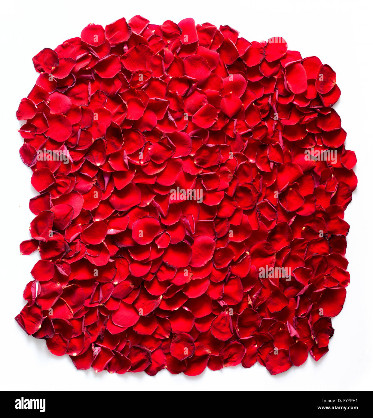 Red rose petals background, pattern Stock Photo - Alamy