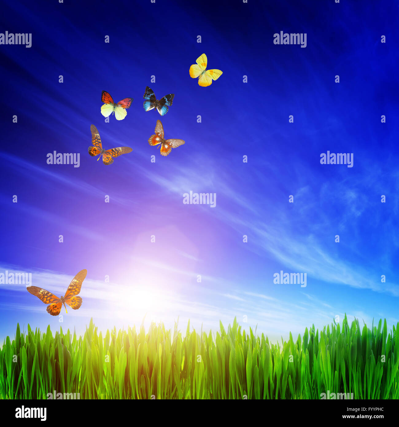 High resolution image hi-res stock photography and images - Alamy