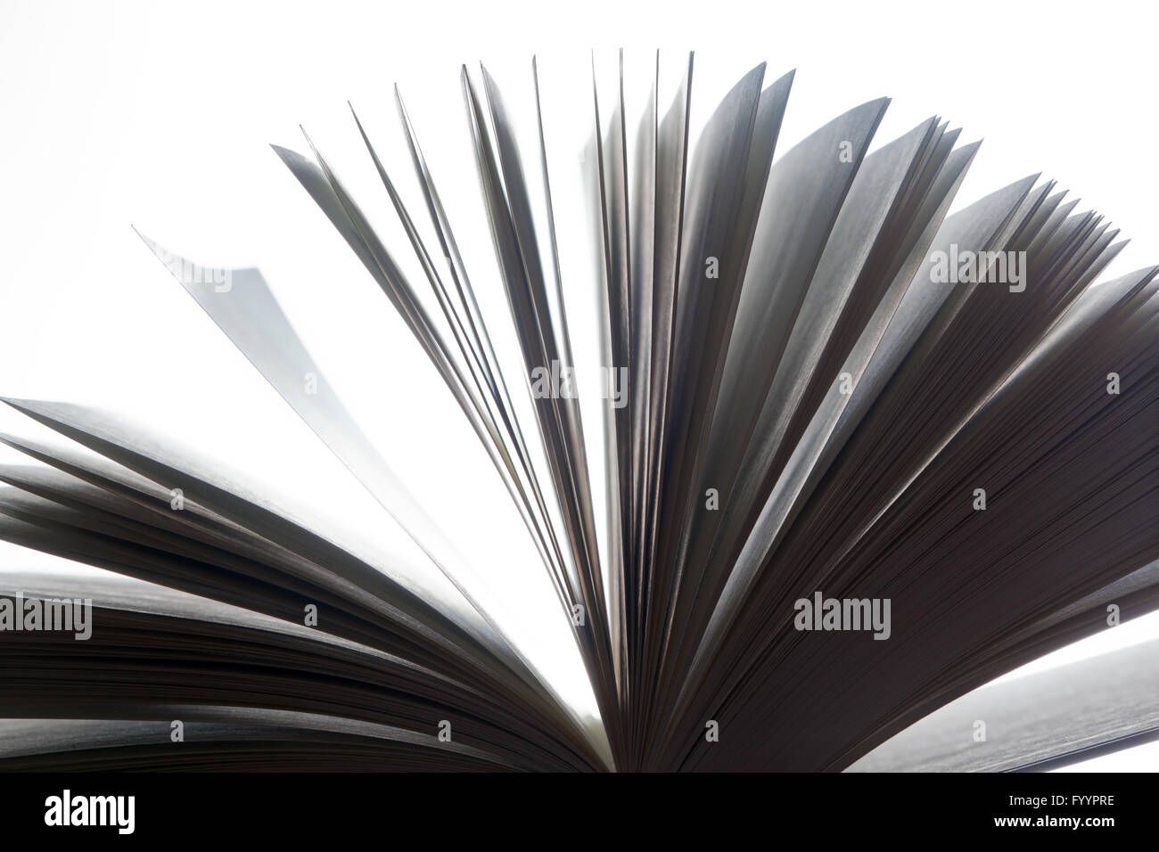 Book publish hi-res stock photography and images - Alamy