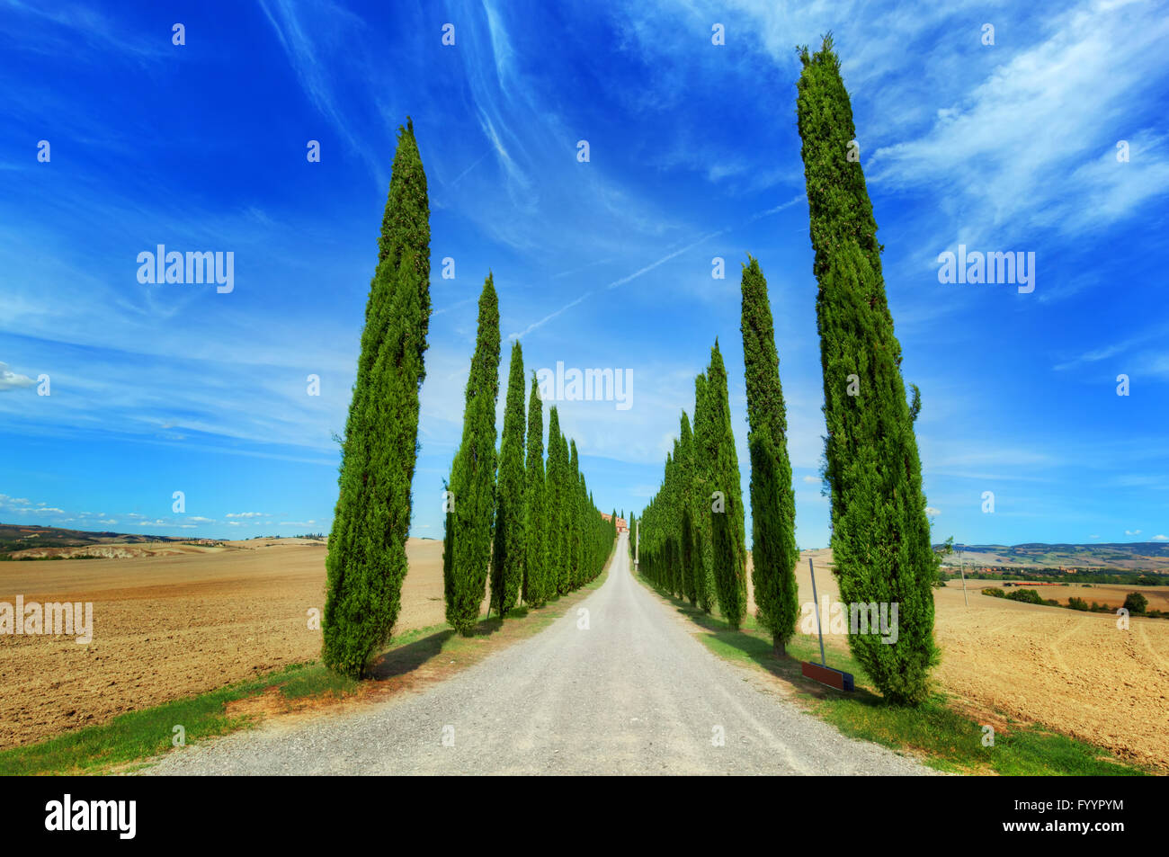Cypress road hi-res stock photography and images - Alamy