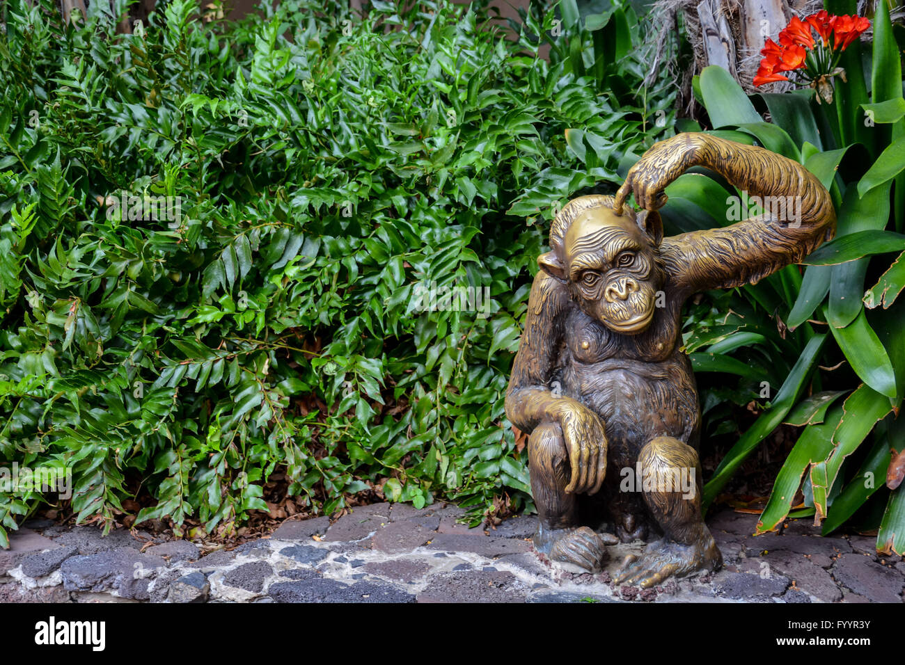 Chimpanzee statue hi-res stock photography and images - Alamy