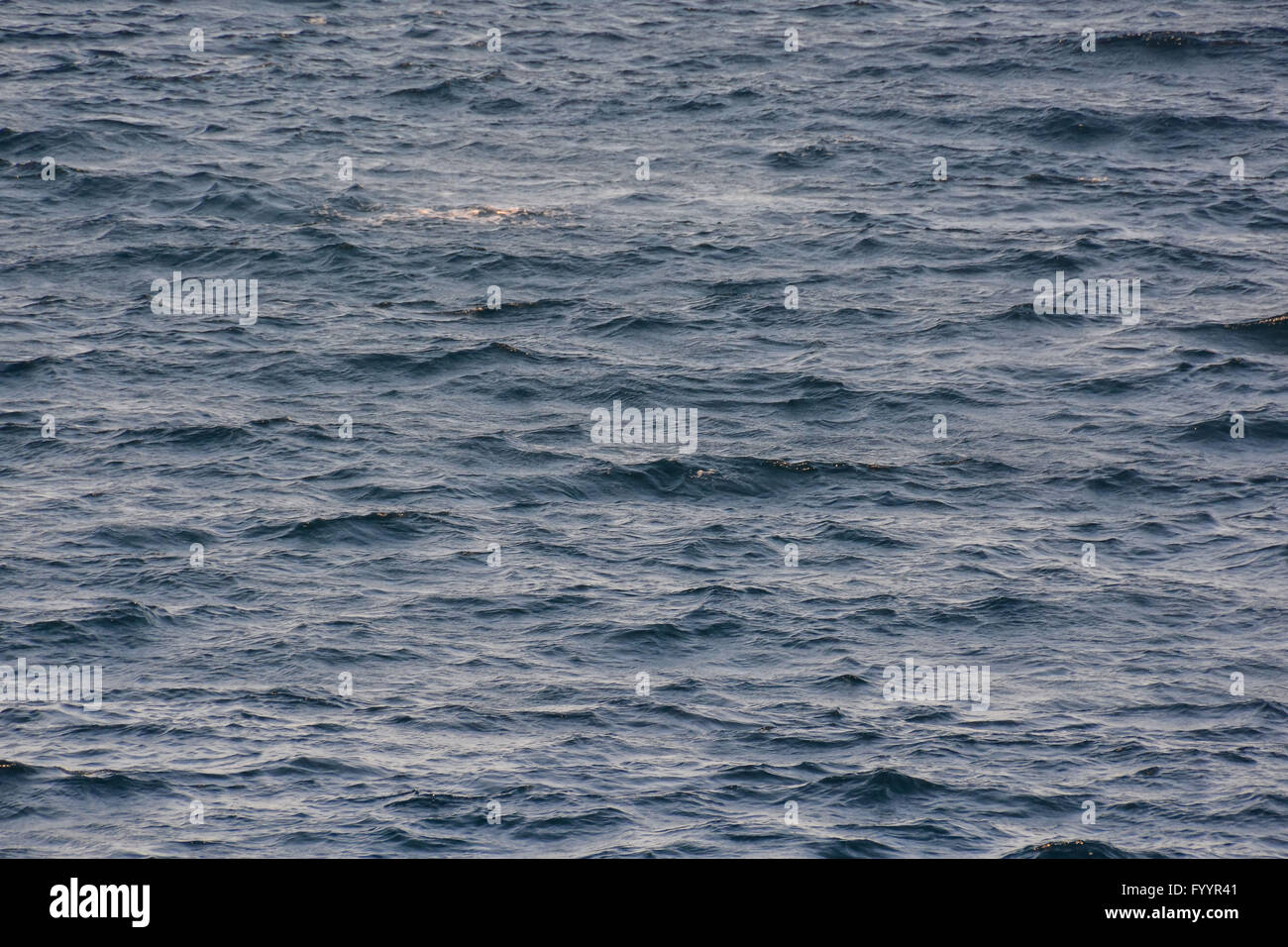 Detailed Texture Of Sea Water Stock Photo - Alamy