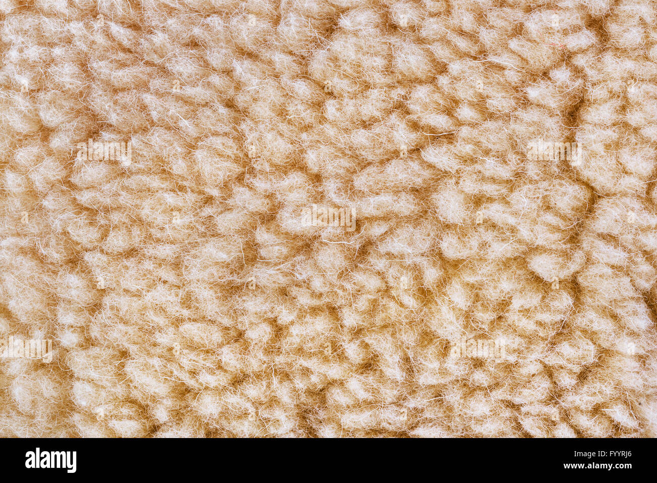 Woolly sheep fleece background Stock Photo - Alamy
