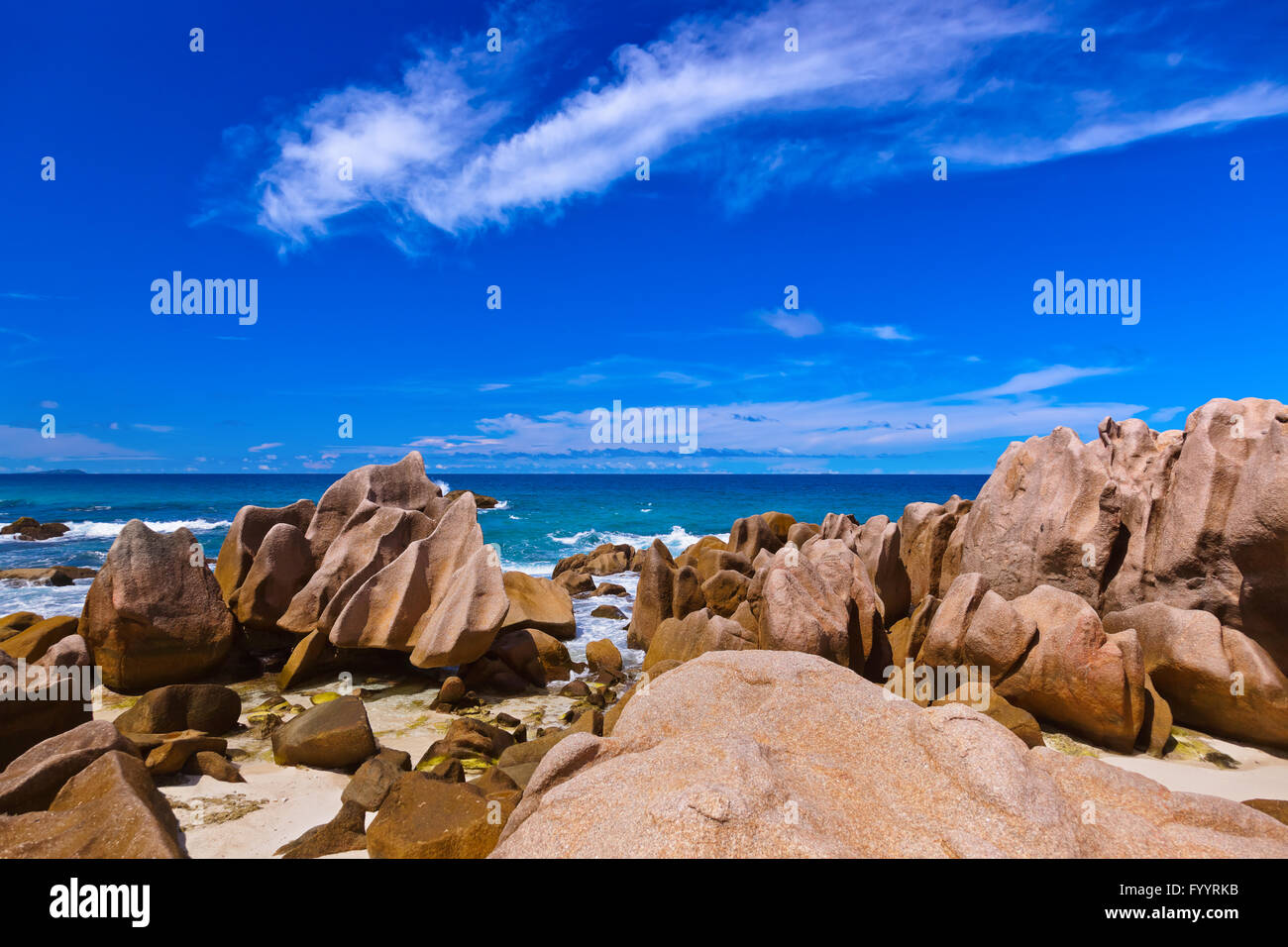 Vaca tropical hi-res stock photography and images - Alamy