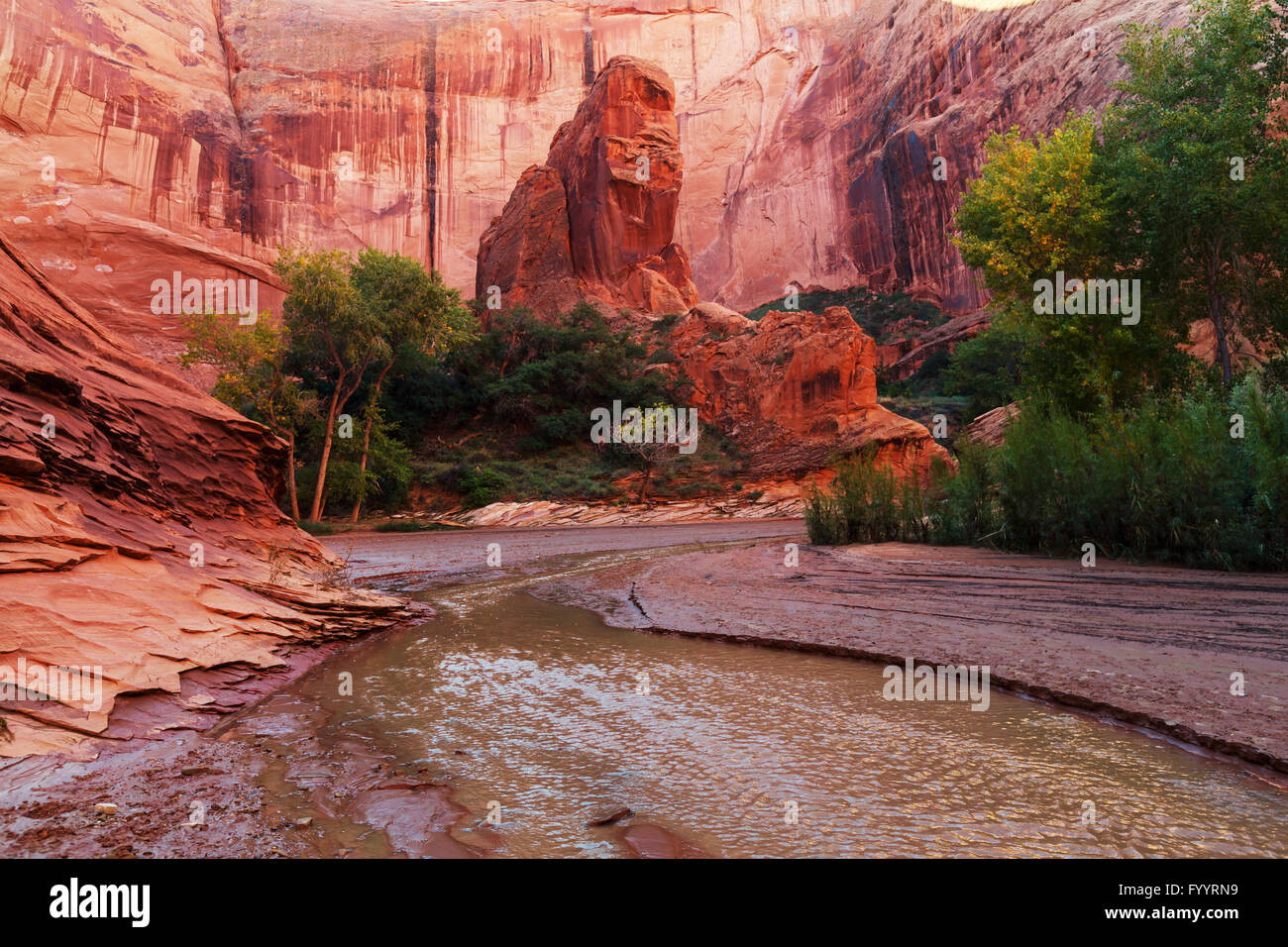 Hike in Coyote gulch Stock Photo - Alamy