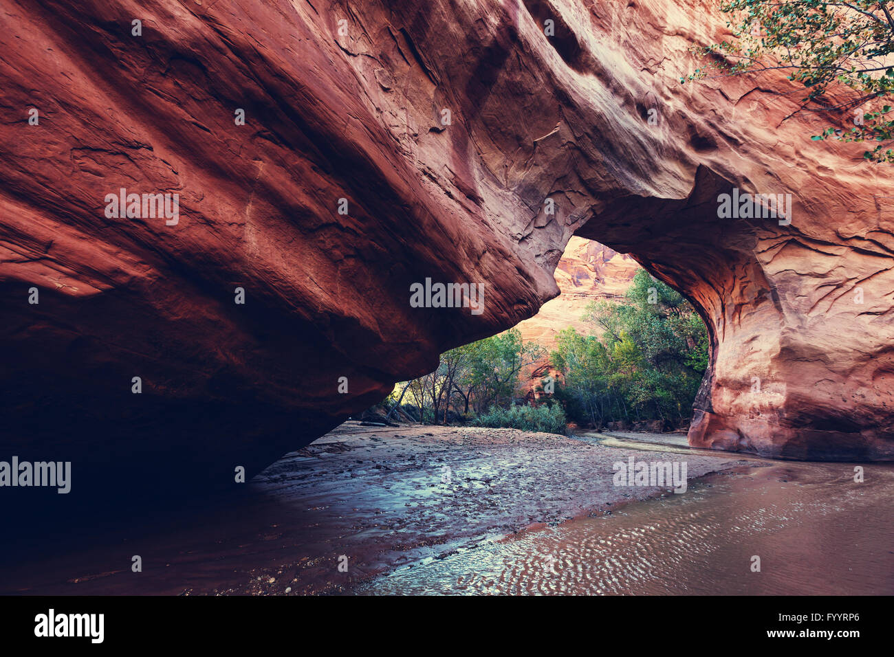 Hike in Coyote gulch Stock Photo - Alamy