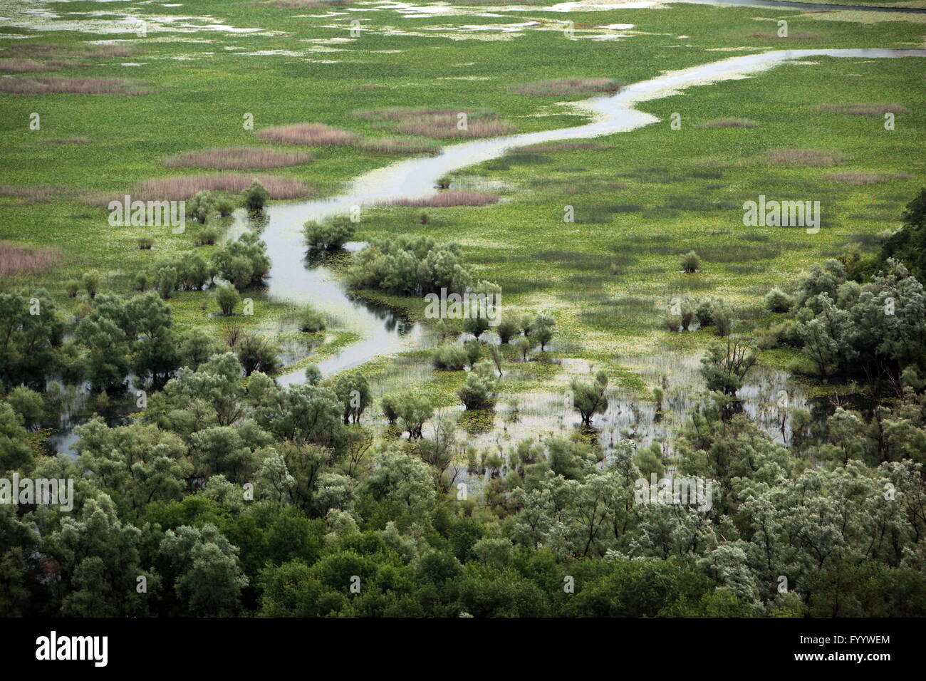 EUROPE BALKAN MONTENEGRO SKADAR LAKE Stock Photo - Alamy
