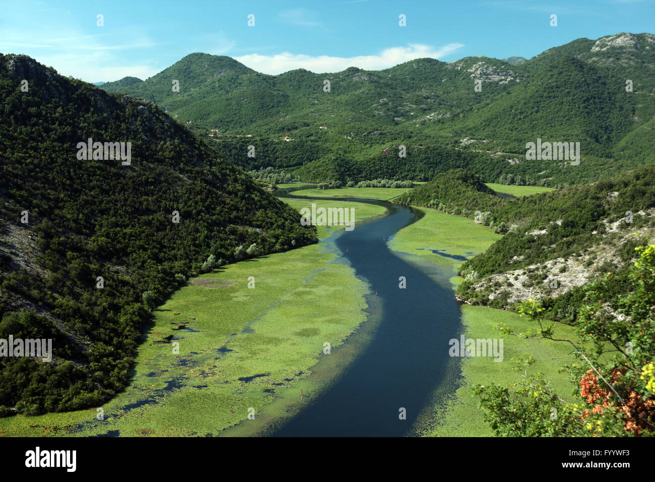 EUROPE BALKAN MONTENEGRO SKADAR LAKE Stock Photo - Alamy