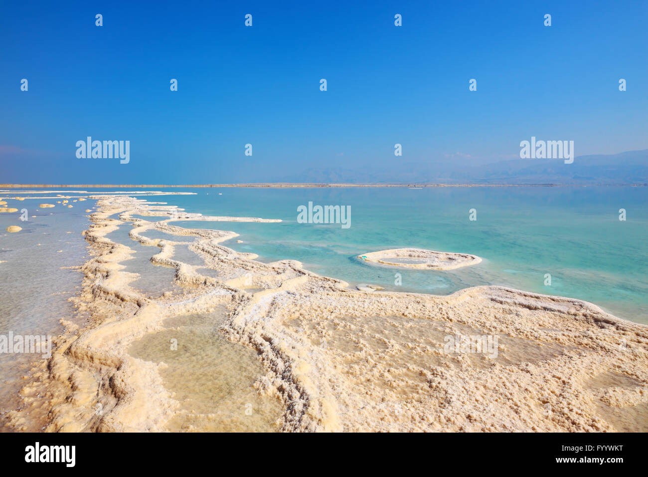 How Is The Salt Formed at Samuel Austral blog