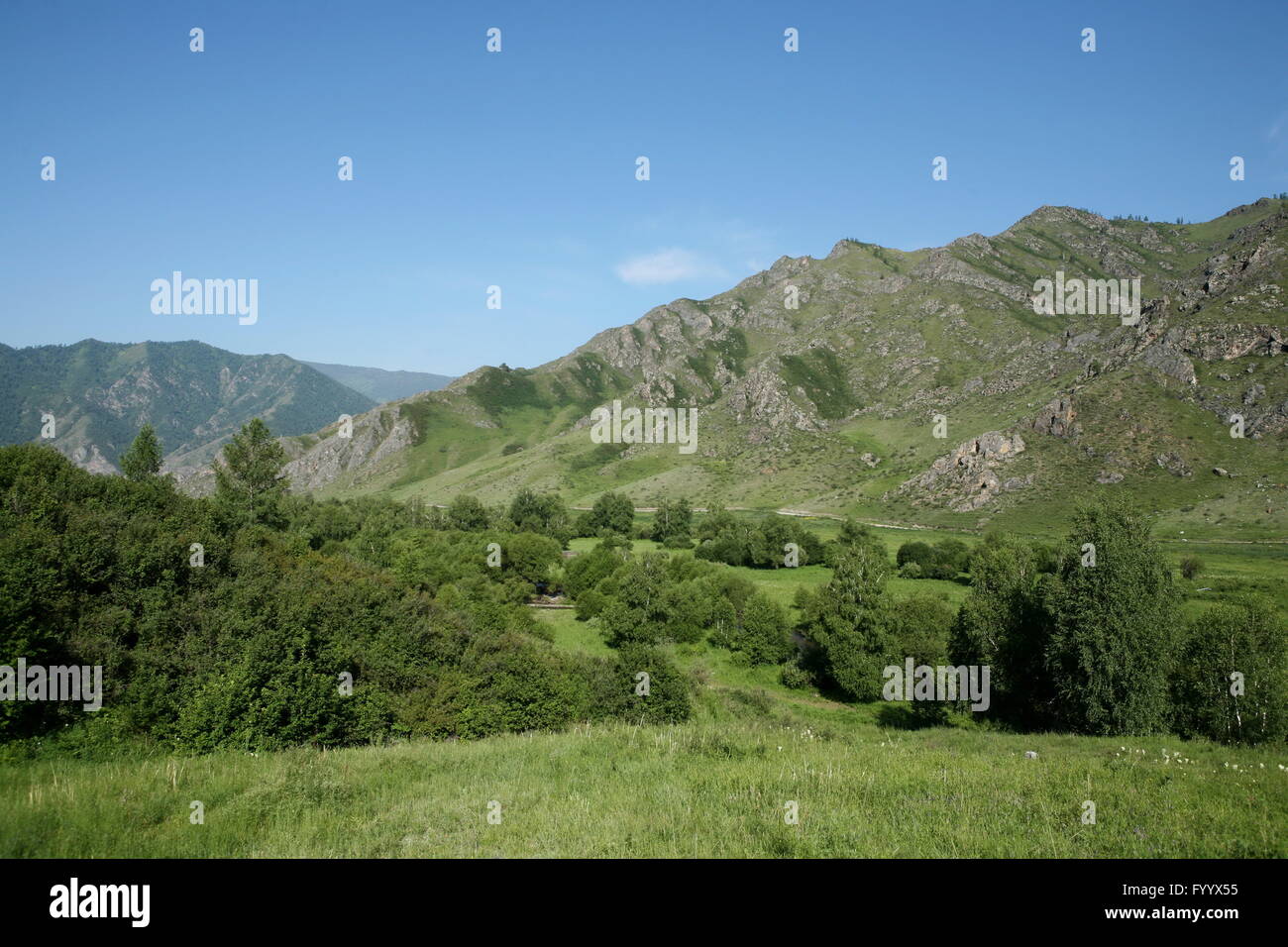 Altai region Russia mountain landscapes Stock Photo - Alamy